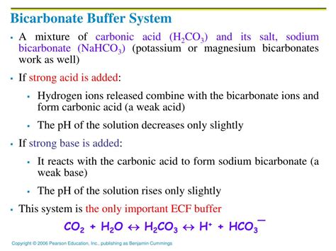Ppt Acid Base Balance Powerpoint Presentation Free Download Id1994730