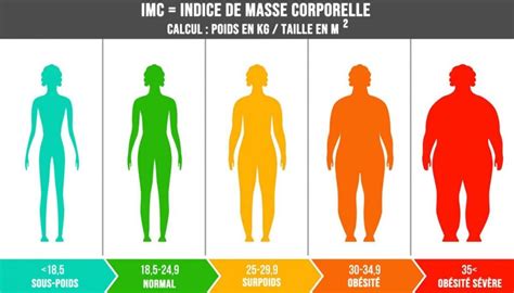 Comment Calculer Son Imc En 1 Minute Gratuit Santé