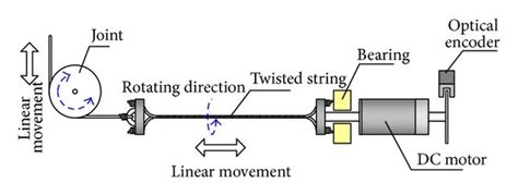 Configuration For A Twisted String Actuation Device Download