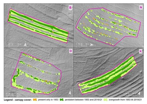 Spatio Temporal Analysis Of Tree Canopy Cover Showing Different