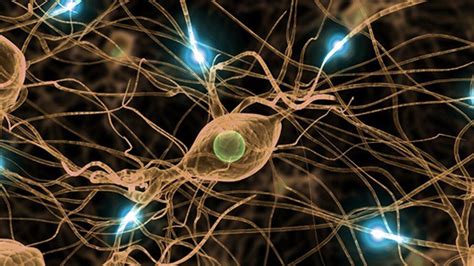 El Reino Unido Realizará Un Ensayo Para Determinar Si La Droga