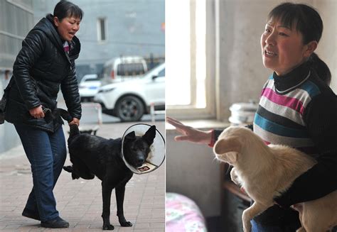 女子嚼食喂养流浪猫，十七年花掉百万