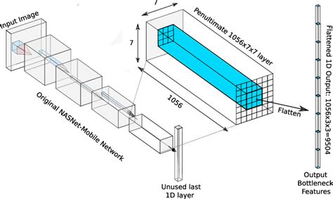Nasnet Mobile Extraction Of Translationally Invariant Bottleneck Download Scientific Diagram