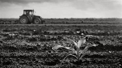 War Impacts On Ukrainian Agriculture Kyiv School Of Economics