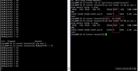 【linux】详解进程状态之僵尸进程——孤儿进程 阿里云开发者社区