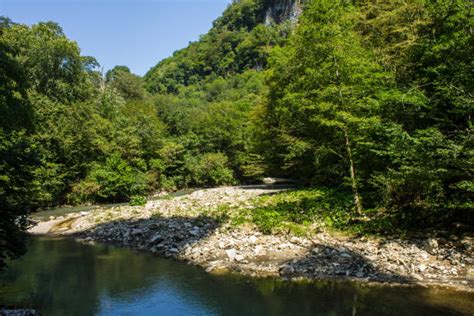 40 Tejo Playa Fotografías De Stock Fotos E Imágenes Libres De
