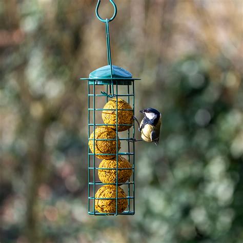Organic Bird Fat Balls For Birds Bird Suet Balls