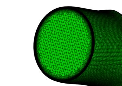 Blood Vessel CFD Meshing Example