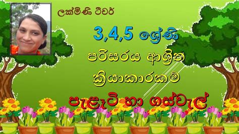 3 4 5 ශ්‍රේණි පරිසරය ආශ්‍රිත ක්‍රියාකාරකම් පැළෑටි හා ගස්වැල් Youtube