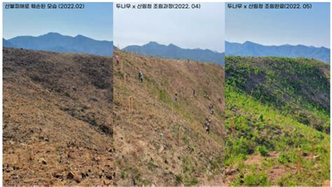 돈 버는 탄소 중립 3 산림조림사업에서 나온 상쇄배출권을 Nft로 발행한다고