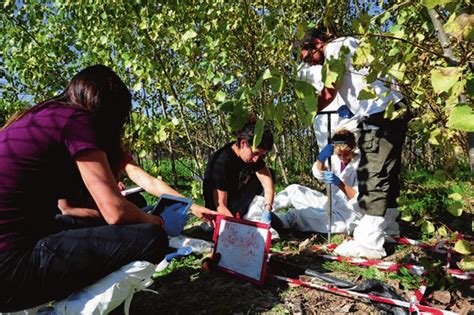 3 Soil Sampling From A PCB Historically Contaminated Area Located In Download Scientific