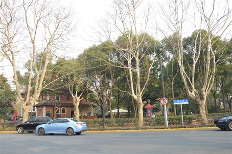 2023余庆路游玩攻略 暖暖的冬日下午过来走走非常 去哪儿攻略