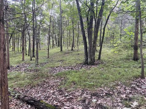 William D Bertini Park