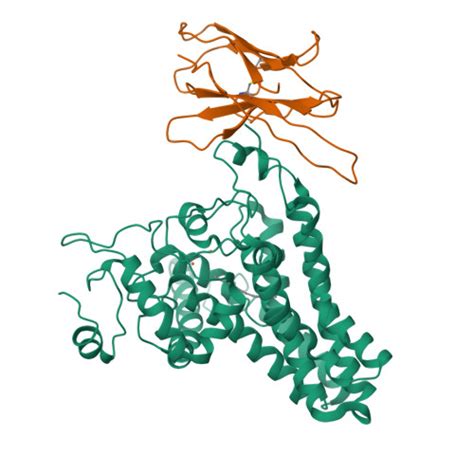 Rcsb Pdb 8sbb Cryo Em Structure Of Ftalkb