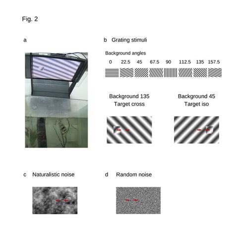 Segmentation Is A Crucial Step In Visual Scene Processing And Object Download Scientific