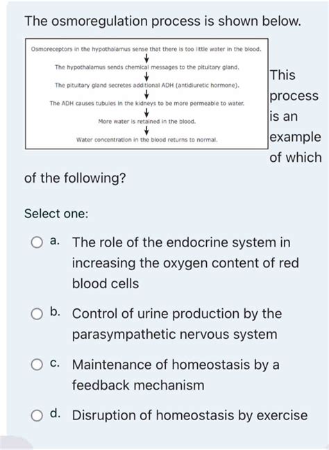 Solved The Osmoregulation Process Is Shown Below Osmoreceptors In The Hypothalamus Sense That