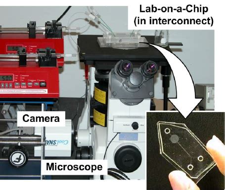 Schematic Of The Polarization Filtering Analysis System Download Scientific Diagram