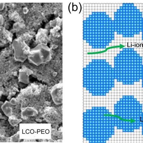 A A Representative Composite Cathode Micrograph In A Typical