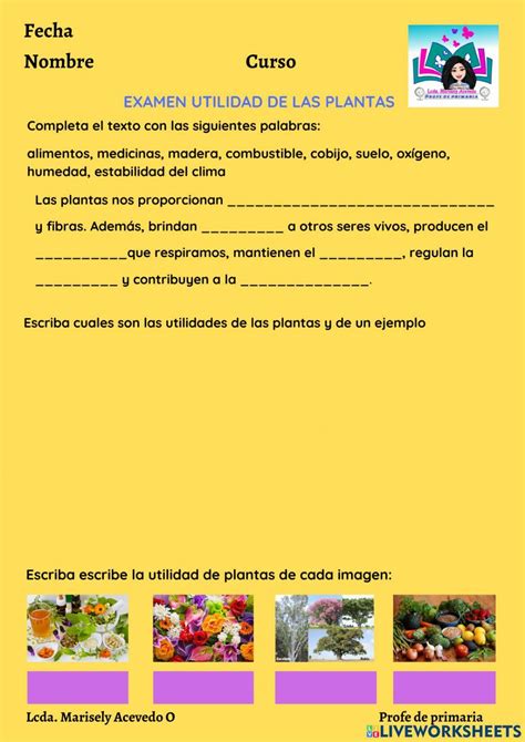Utilidad De Las Plantas Online Worksheet For 3ero De Primaria Live