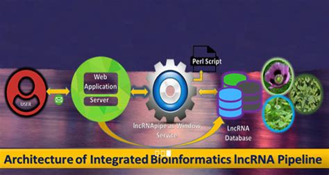 LncRNADetector A Bioinformatics Pipeline For Long Noncoding RNA Identification RNA Seq Blog