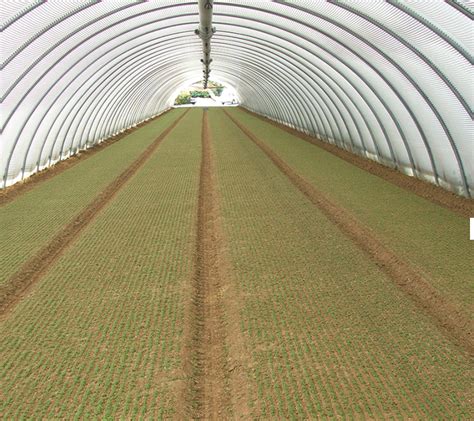 Auto Shading System Greenhouse Technologies