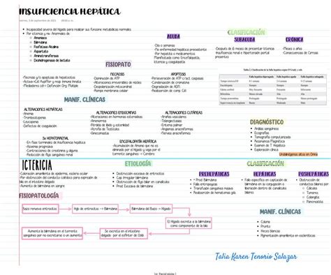 Insuficiencia Hepática Talia Karen Tenorio Salazar Udocz