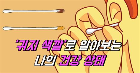 귀지 색깔로 알아보는 나의 건강 상태 하루건강소식 키위픽 시니어건강체크