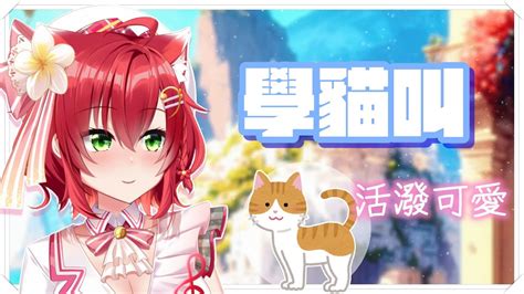 【vtuber歌回】學貓叫 Meow Meow Meow 小潘潘 小峰峰 Covered By 綾音ring 『你不說愛我我就喵喵喵