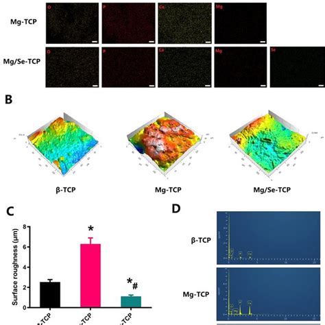 Phase Composition Analysis Of The β Tcp Mg Tcp And Mgse Tcp A Eds