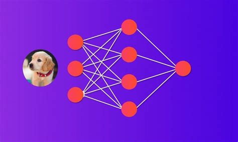 How To Build Your Own Neural Network From Scratch In Python R