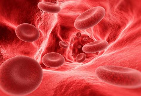 วิธีสังเกตอาการเริ่มแรก เส้นเลือดในสมองตีบ ตัน แตก ยิ่งรู้ ยิ่งรับมือเร็ว ยิ่งดี