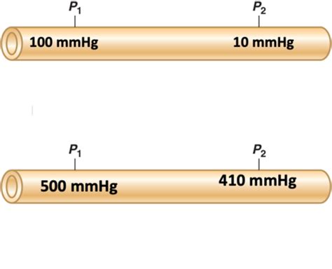 Lecture 39 40 Cardio Practice Questions Flashcards Quizlet