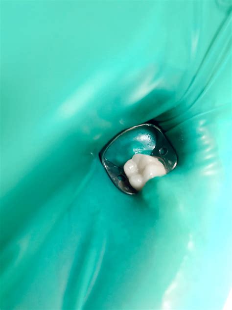 Gogs გემრიელი ოჯახი უგემრიელესი სიახლე 💯 პილმენი ხინკალი კარტოფილის ვარენიკი სოკოს ვარენიკი