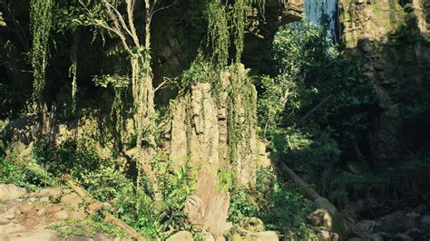 Cluster Of Trees Growing On Cliffside Mountain Path Stock Video At Vecteezy