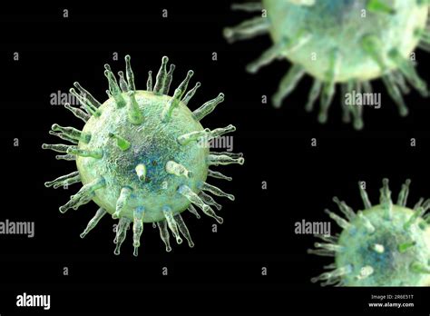 Epstein Barr Virus Ebv Computer Illustration Ebv Also Known As