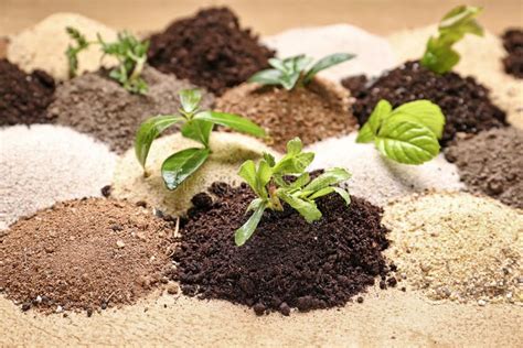 Different Types Of Soil With Plants On Color Background Stock Image