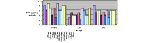 Nested PCR Results Of Tissues Examined Download Scientific Diagram