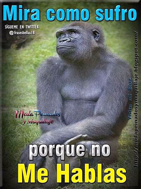 Mira Como Sufro Memes