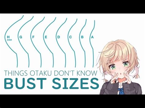 Cup Size Chart Anime