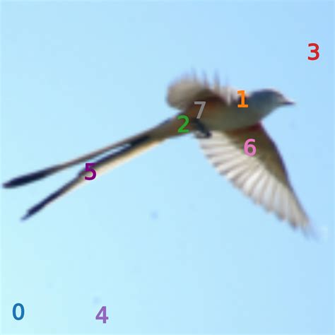 Unsupervised Keypoints From Pretrained Diffusion Models