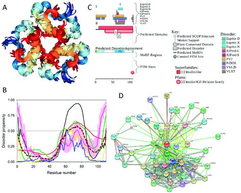Structure And Intrinsic Disorder Of Human Insulin Uniprot Id P01308 Download Scientific