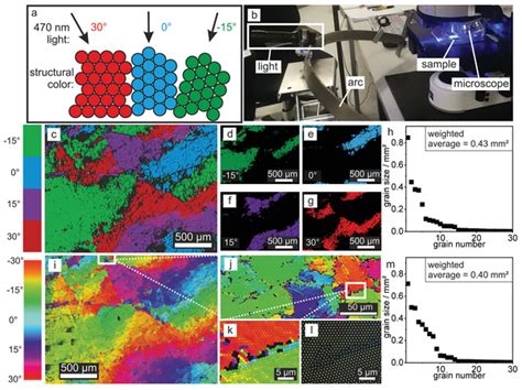 Evaluation Of Grain Sizes In A Colloidal Monolayer Based On Download Scientific Diagram