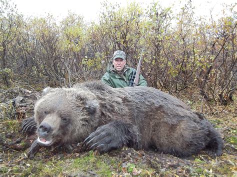 Alaska Brown Bear Hunts 2026 Seasons Costs And Rules