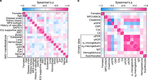 Figure 2 From Comprehensive Analysis Of Sex Differences At Disease Manifestation In ANCA
