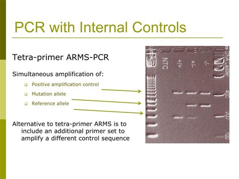 Ppt Molecular Laboratory Design Qa Qc Considerations Powerpoint Presentation Id 5199116