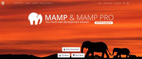 3 Top Local Wordpress Development Environments 2025 Templately Blog
