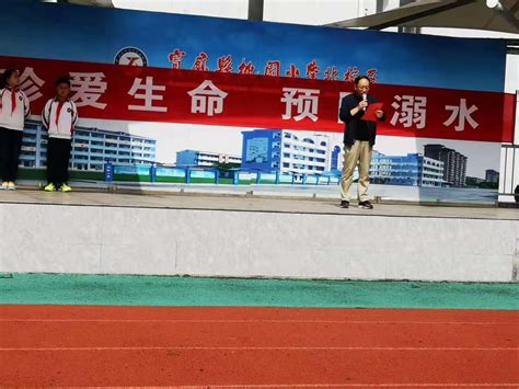 珍爱生命，预防溺水！桃园小学北校区开展“防溺水”系列活动宝应新闻宝应生活网 爱宝应，爱生活！