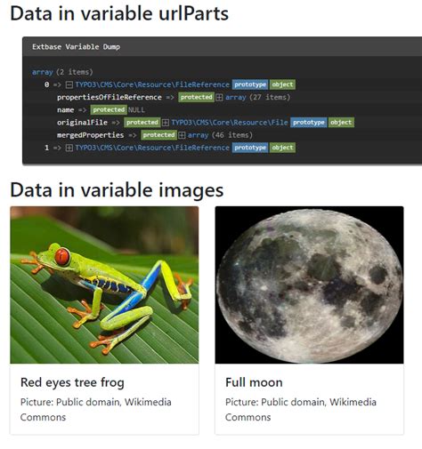 Files Data Processor — Typoscript Explained Main Documentation