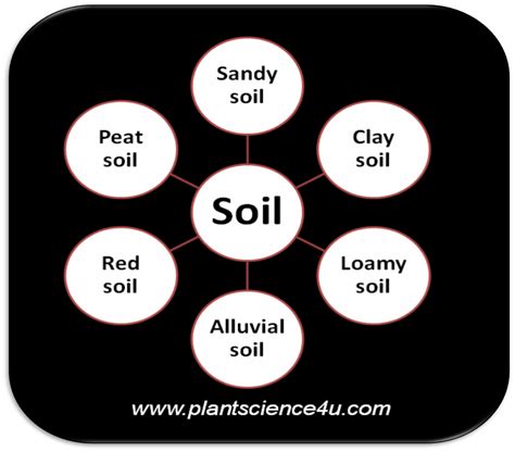Soil Types Sandy Soil Clay Soil Loamy Soil Alluvial Soil Red Soil Peat Soil