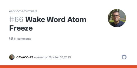 Wake Word Atom Freeze Issue Esphome Firmware GitHub